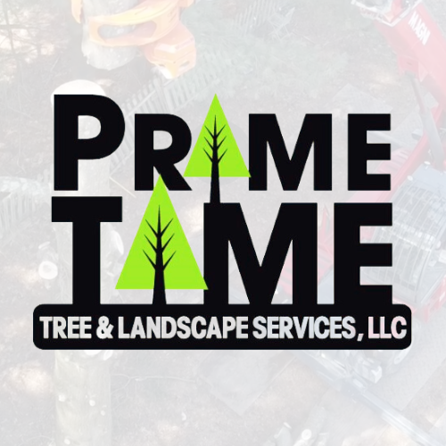 Our Story – Primetime Tree and Landscape Services, LLC