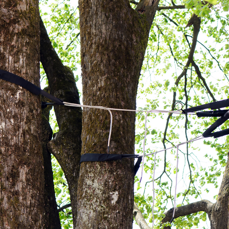 Tree Cabling and Preservation: Safeguarding Nature's Giants - Primetime ...